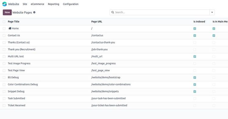 Build an Effective Website Using Odoo Software | Guide