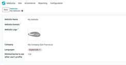 Build an Effective Website Using Odoo Software | Guide