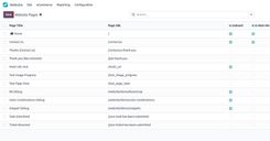 Build an Effective Website Using Odoo Software | Guide